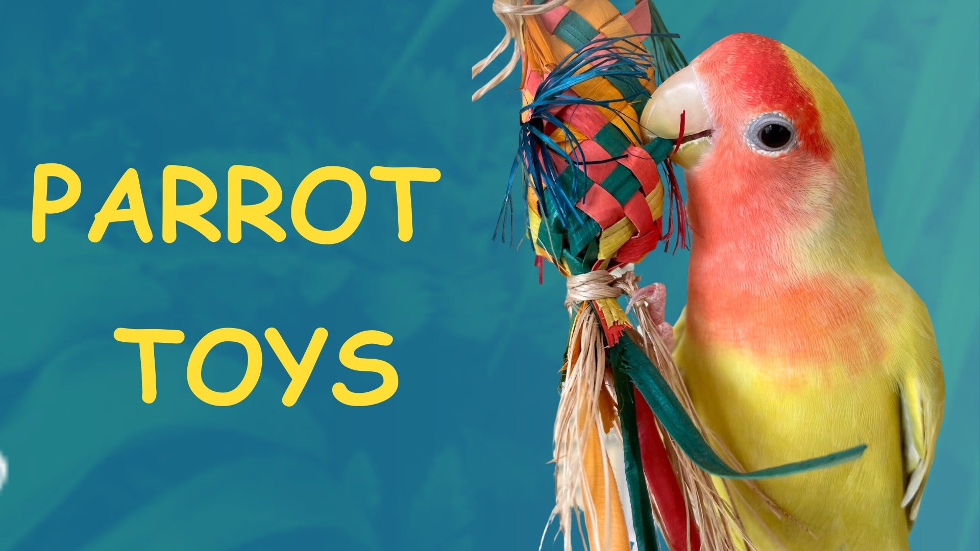 Birds Toys – Aquarium